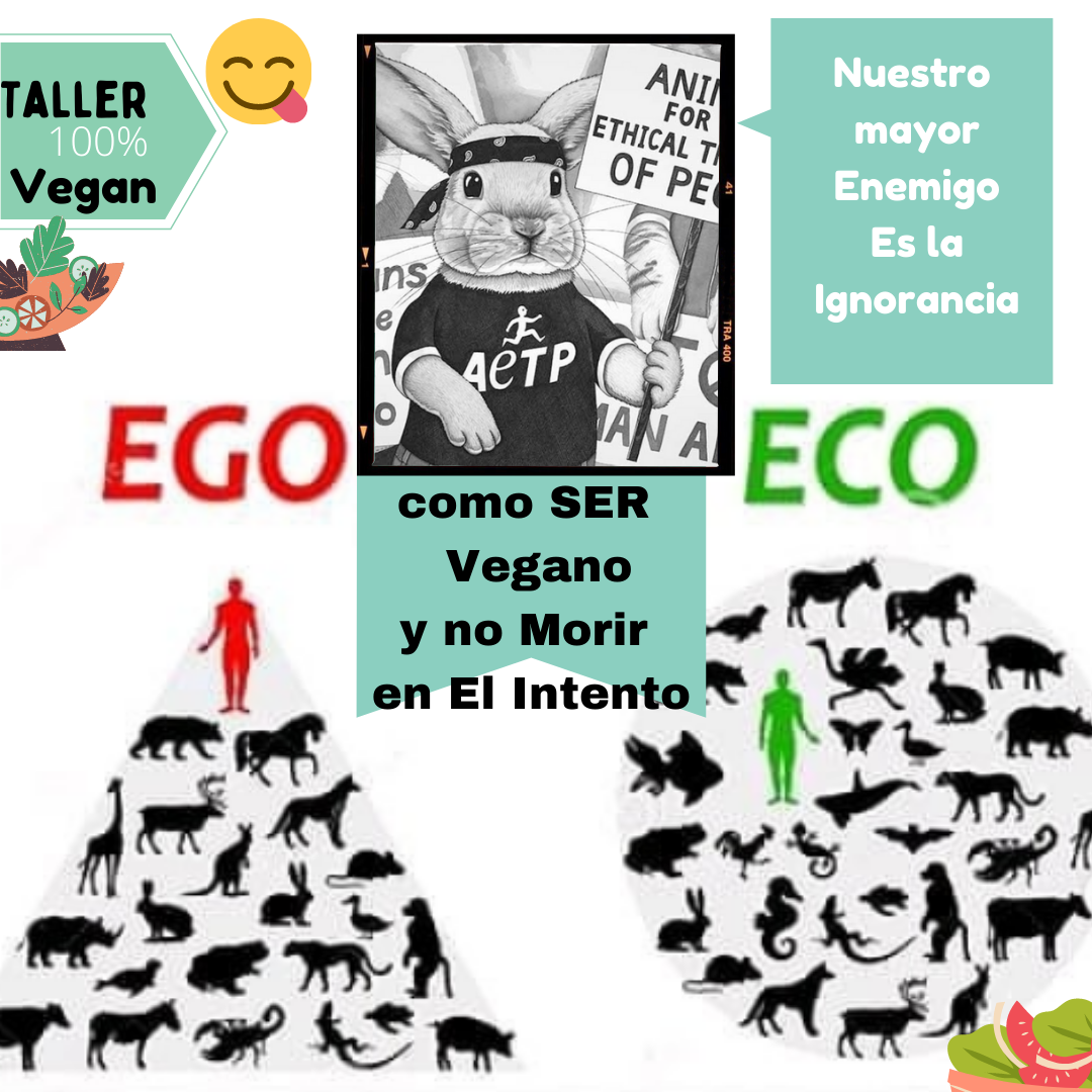Taller como ser Vegano y no Morir en el Intento - Encuentra Noticias ...
